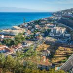 Sunday Market Tour - Madeira Island Excursion - What to Expect from This Madeira Tour