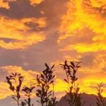 Sunset - Is It Worth the Price?