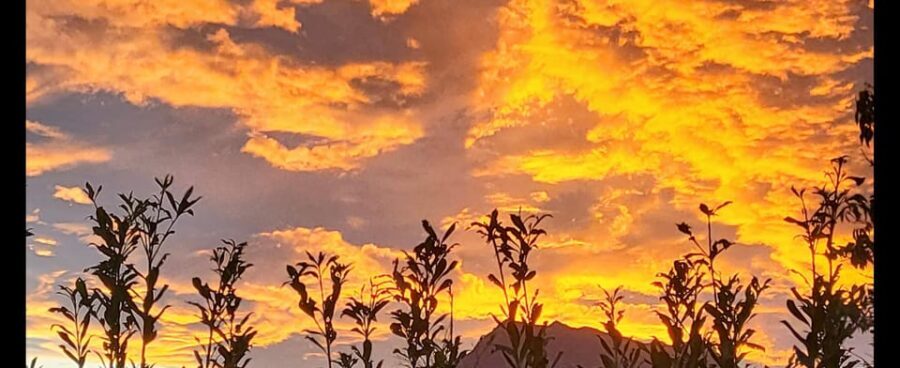 Sunset - Is It Worth the Price?