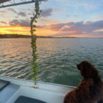 Sunset Boat Trip - Why This Sunset Boat Trip Is Worth Considering