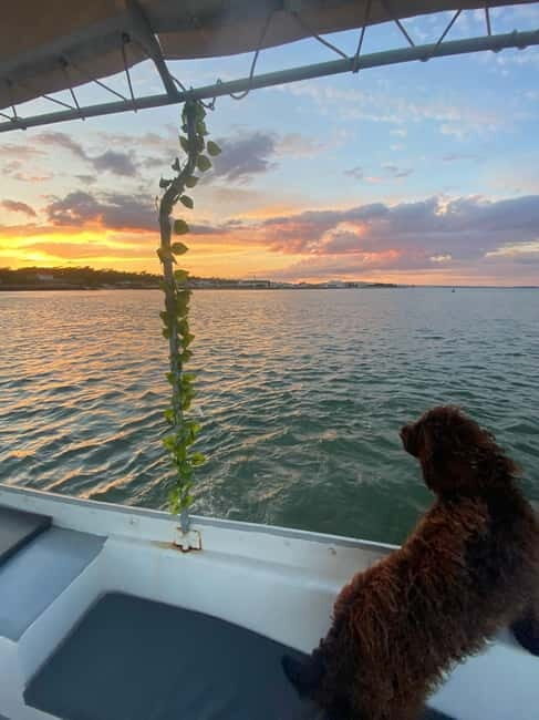 Sunset Boat Trip - Why This Sunset Boat Trip Is Worth Considering