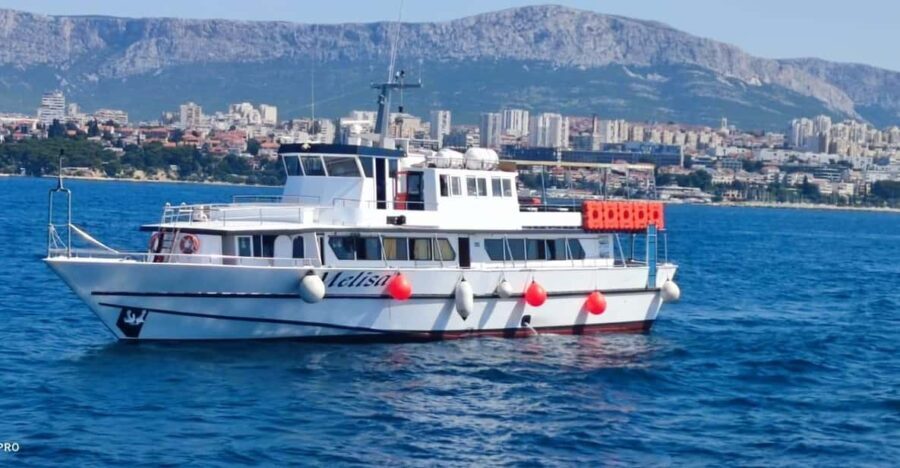 SUNSET DOLPHIN WATCHING BOAT TOUR - The Value for Money