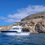 Sunset Dolphin Watching Tour on Hybrid Boat in Small Group - What’s Not So Perfect