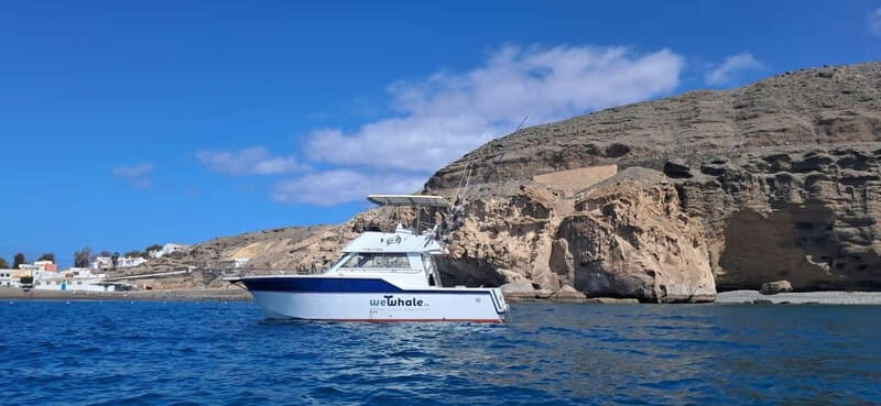 Sunset Dolphin Watching Tour on Hybrid Boat in Small Group - What’s Not So Perfect