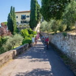 Sunset E-bike Tour of Tuscan & Florentine Hills with tasting - The Culmination: Tuscan Appetizer with Wine and Olive Oil