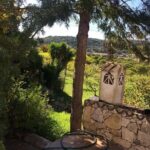 Sunset Safari - Reviews and Real Traveler Perspectives