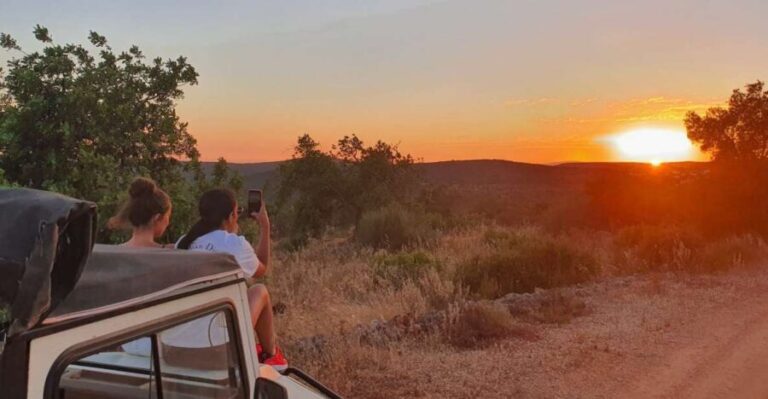 Sunset Safari in the Algarve Mountains - What Travelers Are Saying
