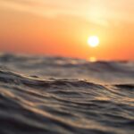 Sunset Safari Private Boat Trip - Itinerary Breakdown – What to Expect