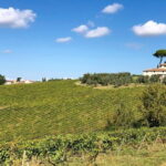 Sunset VIP Chianti wine tour - What Travelers Are Saying