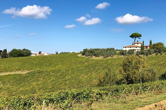 Sunset VIP Chianti wine tour - What Travelers Are Saying