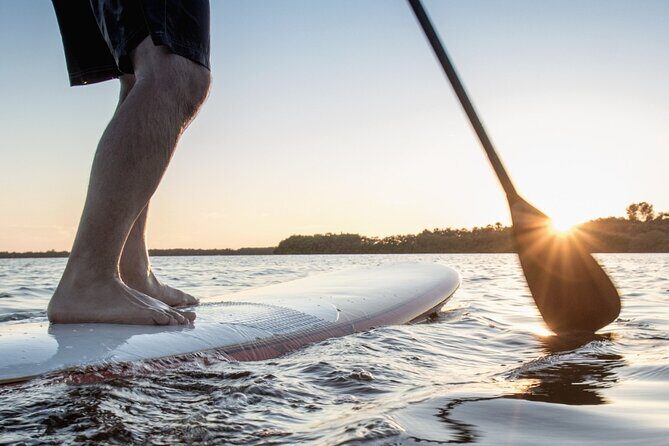 SUP Paddle Board Rentals - Who Should Consider This SUP Rental?