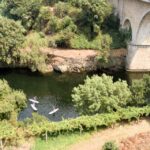 SUP TOUR - Explore Porto´s surroundings on a SUP Board - A Detailed Breakdown of the Itinerary