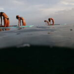SUP Yoga in Stunning Stoja Bay: Balance, Breath & Connect - The Itinerary: What to Expect
