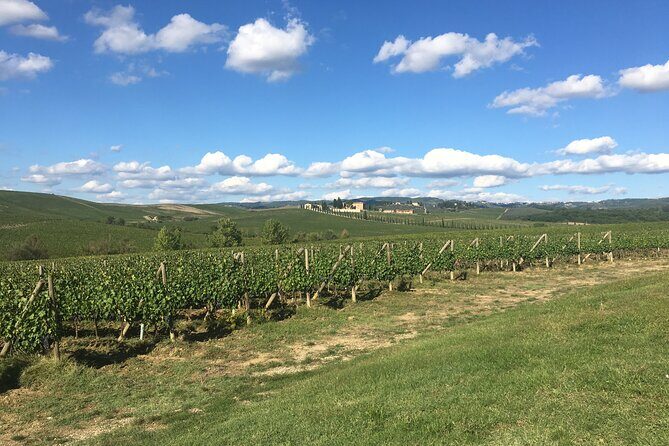 Super Tuscan Wine Tour to Bolgheri - Key Points