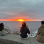 Svolvær: Lofoten Islands Full-Day Guided Tour - A Deep Dive into the Lofoten Experience