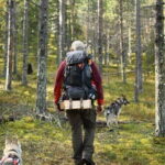 Swedish Lapland: Guided Summer Hiking Tour with Lunch - Itinerary Breakdown: What You Can Expect