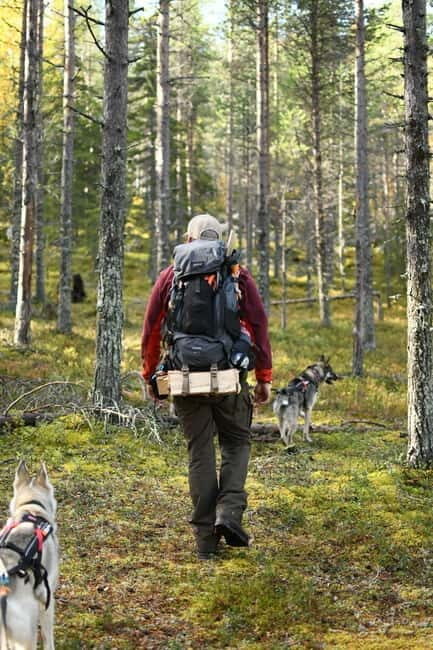 Swedish Lapland: Guided Summer Hiking Tour with Lunch - Itinerary Breakdown: What You Can Expect