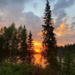 Swedish Lapland: Summer Hike and Midnight Sun Dinner - Value and Practical Details