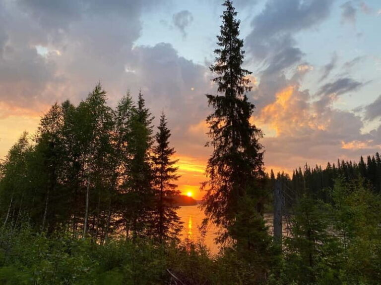 Swedish Lapland: Summer Hike and Midnight Sun Dinner - Value and Practical Details