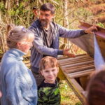 Sweet excursion and Mtirala forest - What’s Included and What’s Not