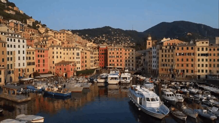 Swimming Cetacea Private Tour Boat Genova Portofino - The Itinerary: A Reflective Look at the Highlights