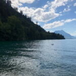 Swiss Highlights: Guided Zürich, Lucerne, Basel & Bern tour - Who Will Love This Tour?