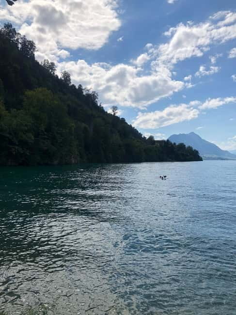 Swiss Highlights: Guided Zürich, Lucerne, Basel & Bern tour - Who Will Love This Tour?
