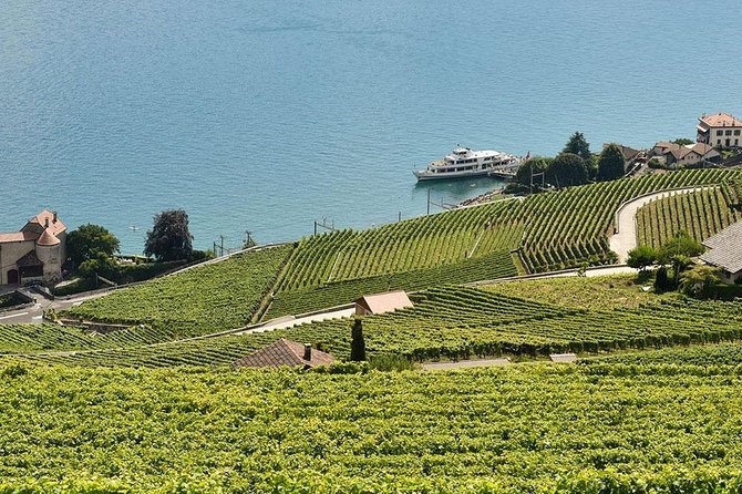 Swiss Wine Tasting at Lavaux Vineyards: Private Trip from Geneva - Key Points