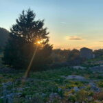 Symi: Sunset Tour with E-Bikes - Who Will Love This Tour?