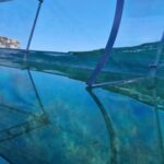 Syracuse: Coast and Sea Caves Full Transparent Boat Tour - What to Expect from the Tour