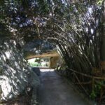 Syracuse: Neapolis Archaeological Park Small Group Tour - Why It Works: Value and Authenticity