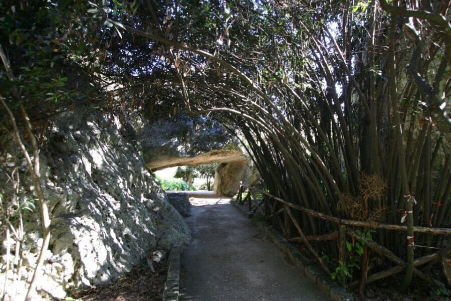 Syracuse: Neapolis Archaeological Park Small Group Tour - Why It Works: Value and Authenticity