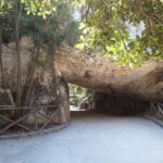 Syracuse, Ortigia Private Tour: Pickup from Catania - What Makes This Tour Stand Out?