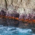 Syracuse: Picnic boat tour of Pillirina, Ortigia & sea caves - The Itinerary: What to Expect
