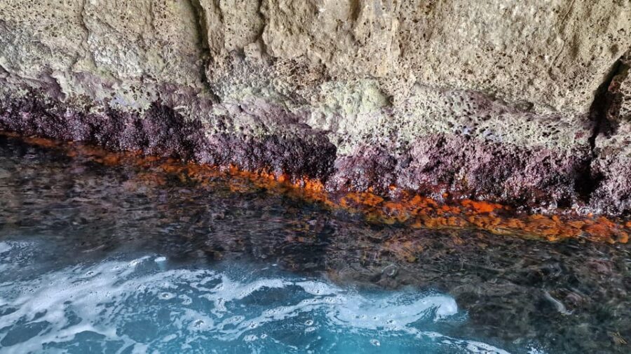 Syracuse: Picnic boat tour of Pillirina, Ortigia & sea caves - The Itinerary: What to Expect