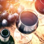 Szczecin Wine Tasting Private Tour with Wine Expert - The Benefits of Choosing This Tour