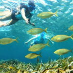 Tabarca Island: Guided Snorkel Excursion - Frequently Asked Questions