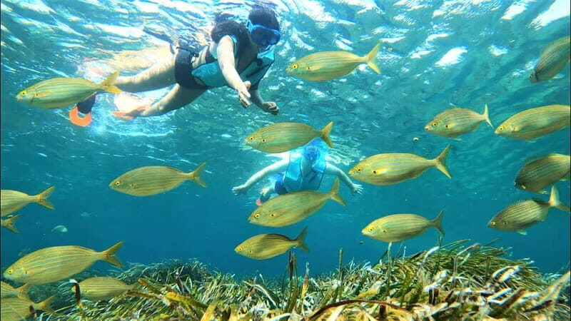 Tabarca Island: Guided Snorkel Excursion - Frequently Asked Questions