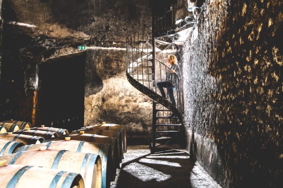 Taillan-Médoc: Château Visit and Wine Tasting in Bordeaux - The Quality of the Tasting Experience
