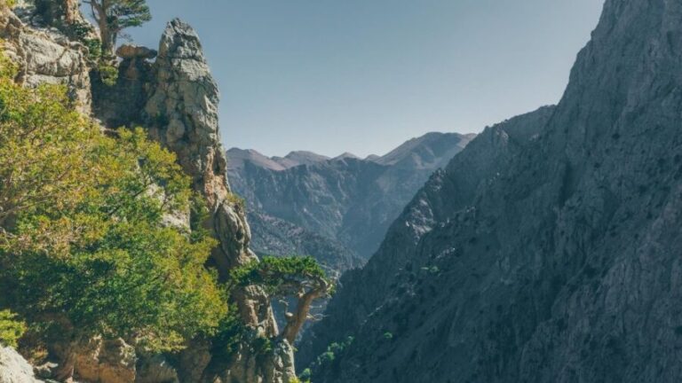 Tailored Samaria Tour That Nobody Will Believe. From Chania. - The Experience from the Traveler’s Perspective