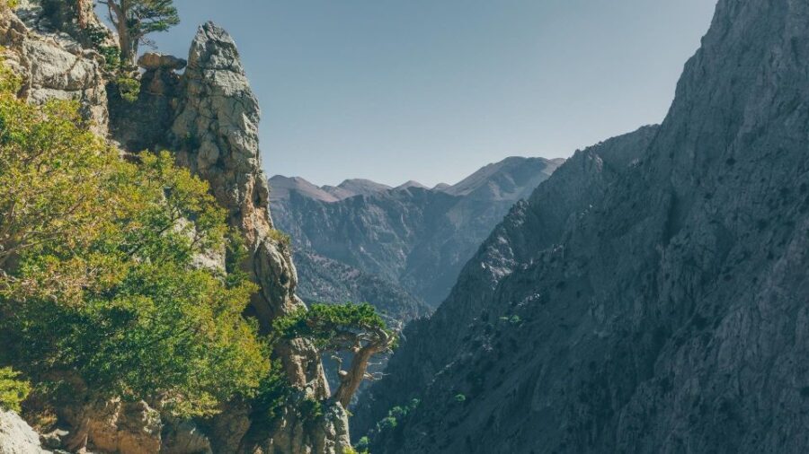 Tailored Samaria Tour That Nobody Will Believe. From Chania. - The Experience from the Traveler’s Perspective