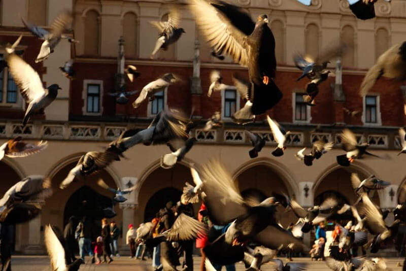 Tales and Legends of Krakow  A Family Guided Tour - Who Is This Tour Best For?