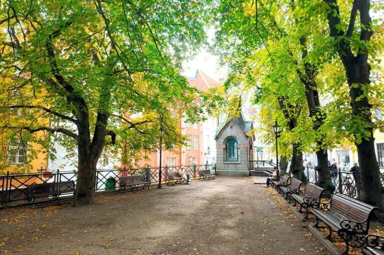 Tales of Tallinn: 4-hour Combo Bus & Walking Tour - Authentic Experiences from Reviews