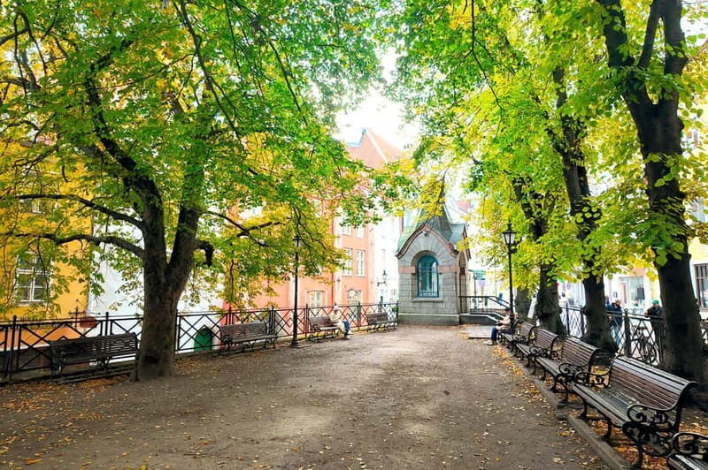 Tales of Tallinn: 4-hour Combo Bus & Walking Tour - Authentic Experiences from Reviews