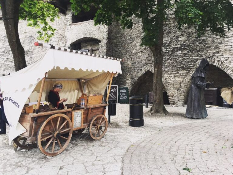 Tallinn: Day Tour from Helsinki with Hotel Pickup - The Independent Time and Optional Explorations