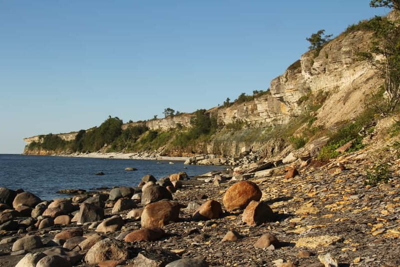 Tallinn: Half-Day Private Estonian Waterfalls - What Travelers Say