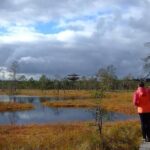 Tallinn Old Town Tour combined with Bog Walk - The Practicalities