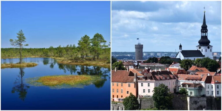 Tallinn: Old Town Tour with Bog Walk - The Experience from a Traveler’s Perspective