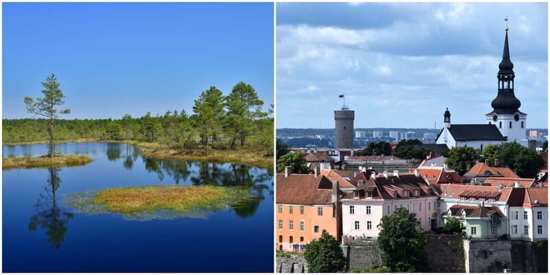 Tallinn: Old Town Tour with Bog Walk - The Experience from a Traveler’s Perspective