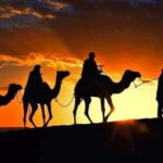 Tangier: Day Trip from Tarifa To Tanger { camel ride { plage - Discovering Tangier’s Historic Heart